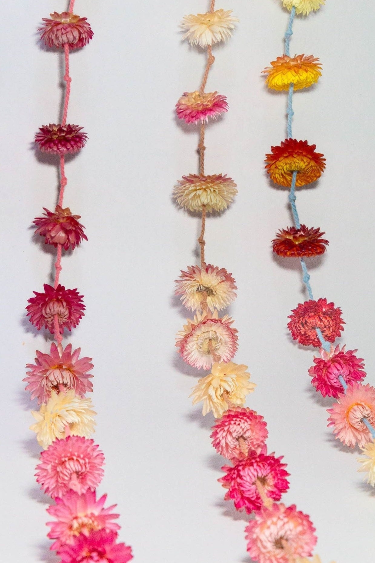 Pretty Pink Flower Garland 2m Dry Strawflowers Strung on Delicate ...