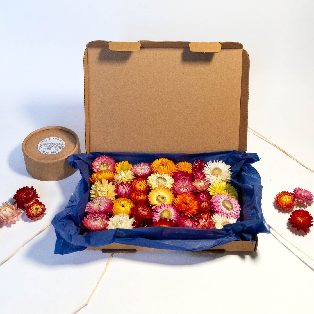 Letter Box Flowers. Perfect Alternative to a Box of Chocolates Say I ...