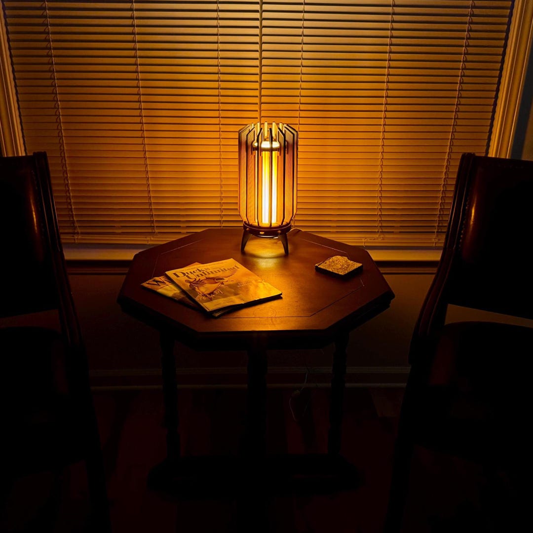 The Reveal, 3D Printed Lamp - Fusion of Light, Motion, and Art - Futuristic Lamp - Plug-in LED ...