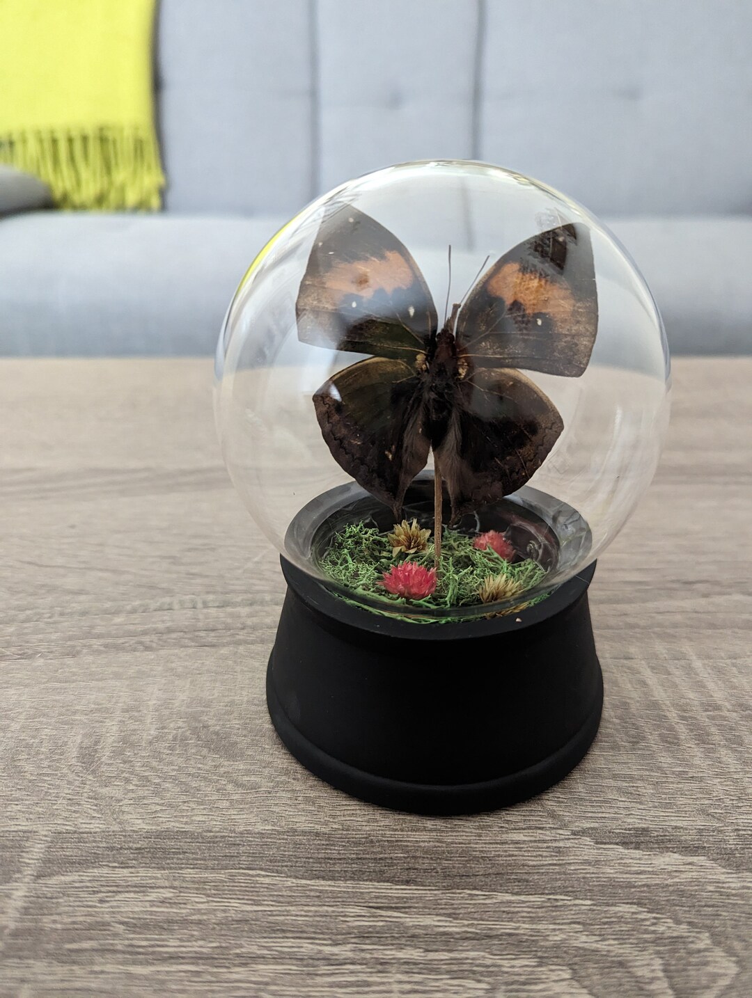 Dead Leaf Butterfly Crystal Ball Sm - Etsy