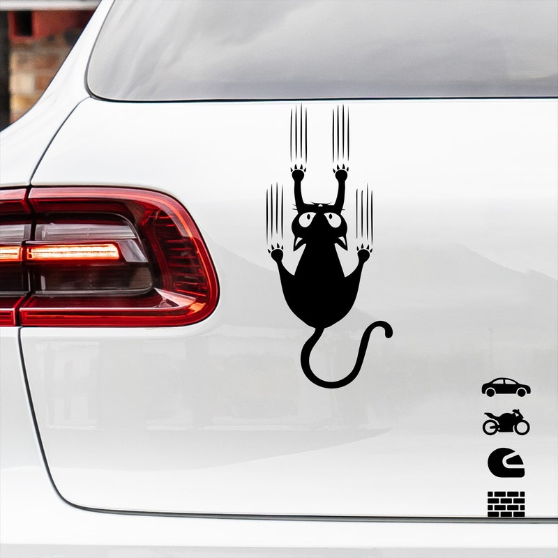 Funny Cat Decals for Car - Etsy