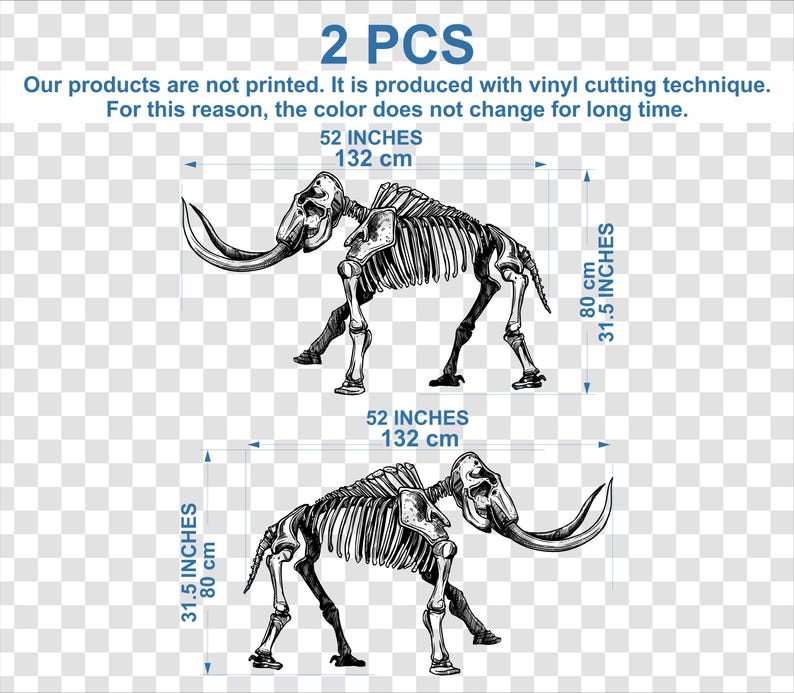 Mammoth Car Side Livery Elephant Skeleton Detailed Decal Large Car Side ...