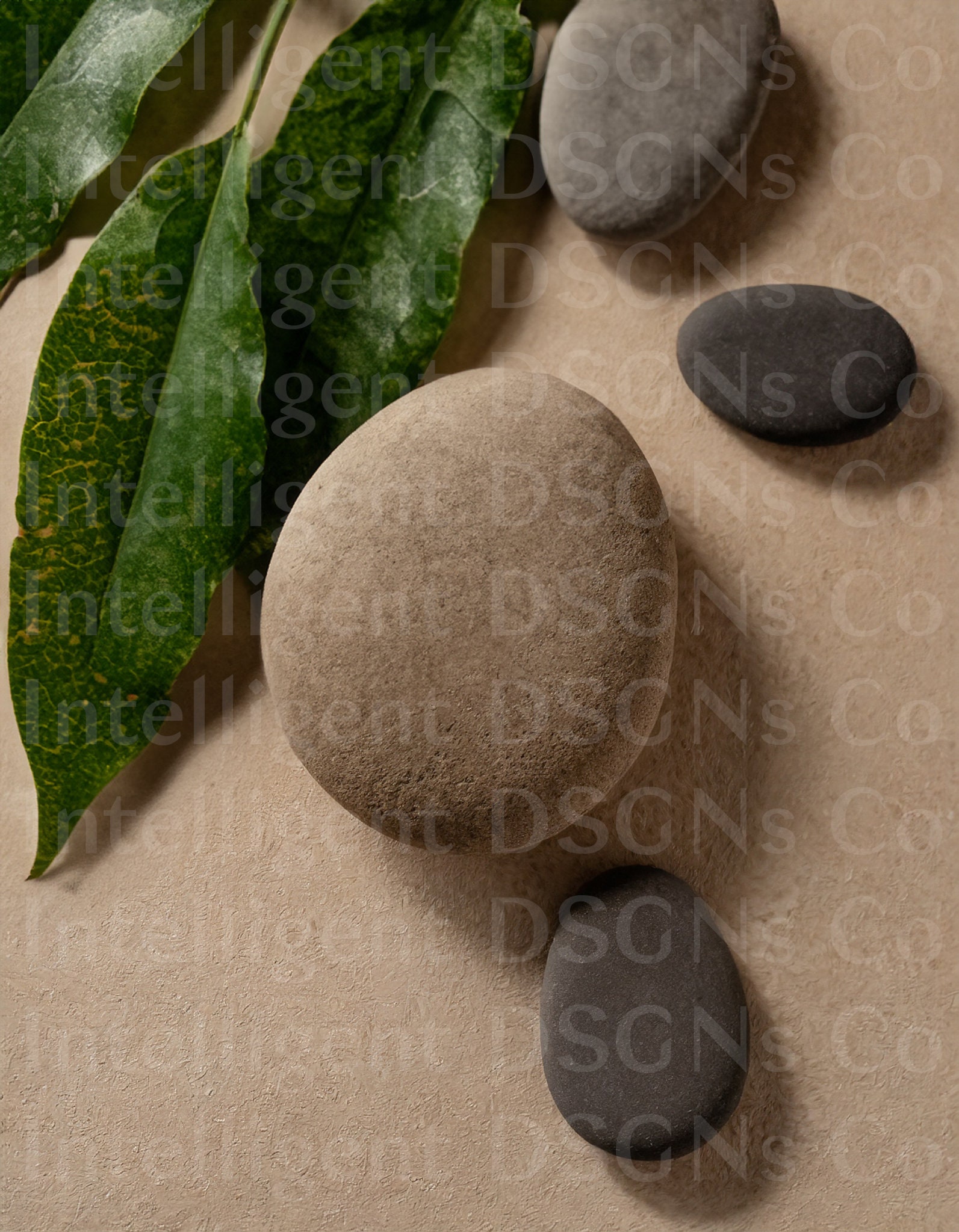 Beige Photography Background, Jewelry Designer, Jewelry Maker, Photo ...