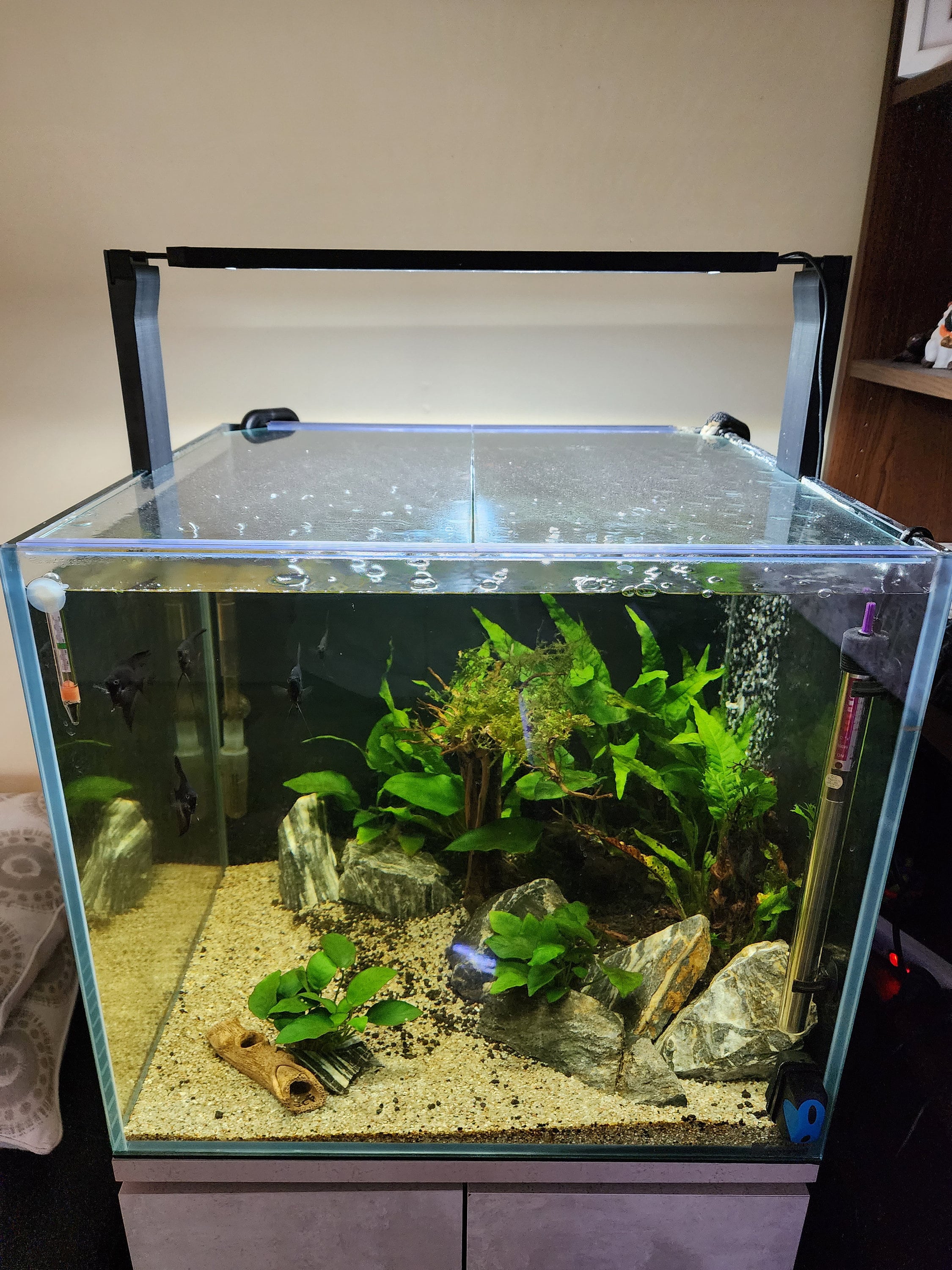 Fluval 3 Light Riser for Rimless Tanks 20cm Tall (eco-friendly Material ...