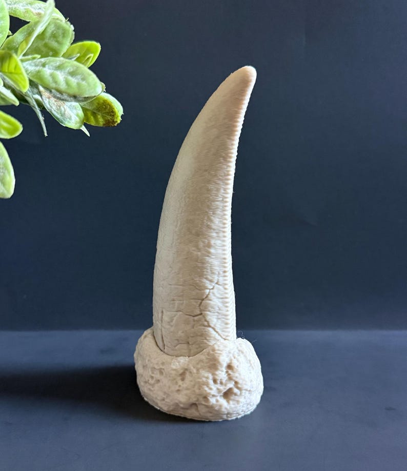 Tyrannosaurus Rex Tooth Replica – T Rex Fossil Gift – Dinosaur Lover ...