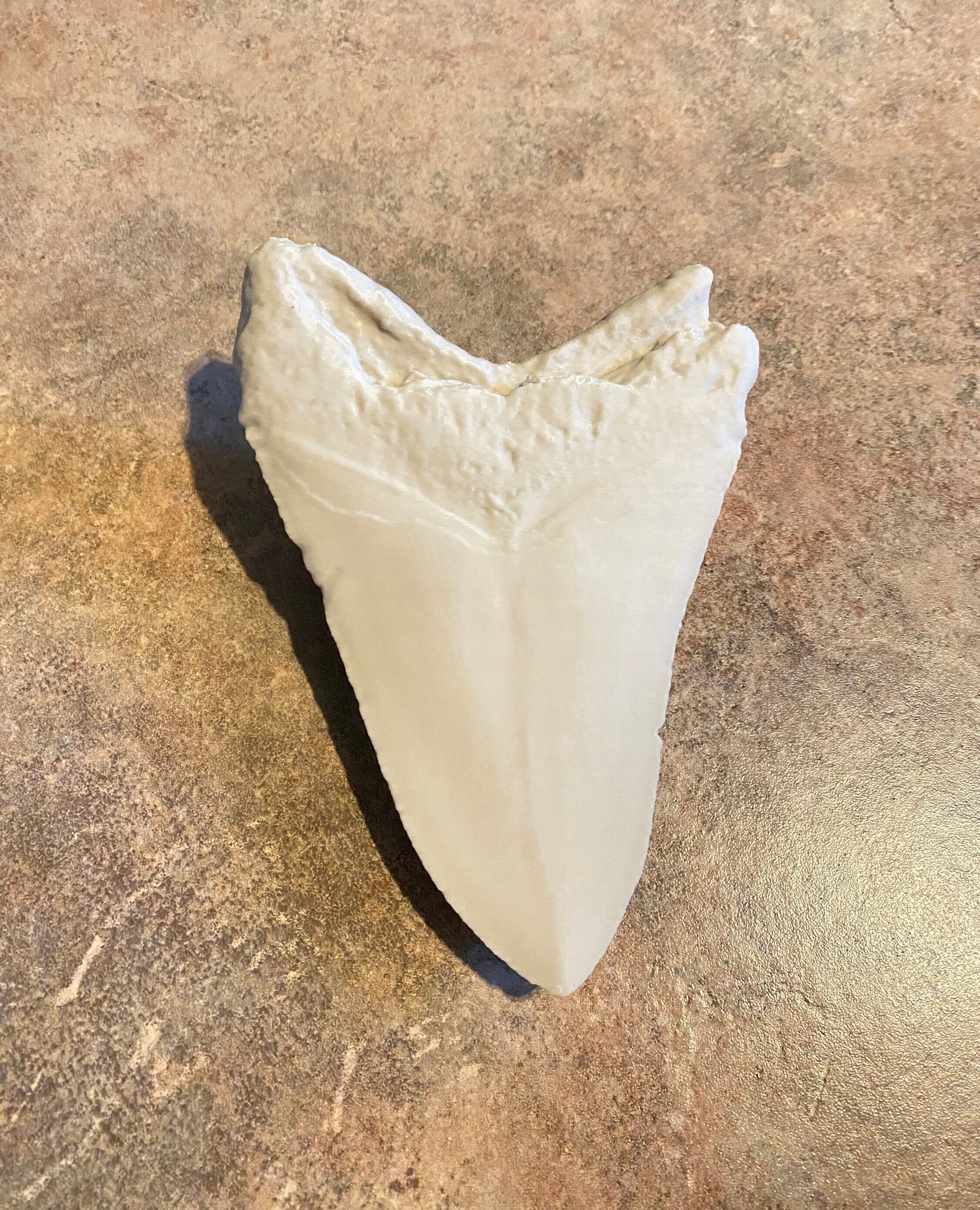 3D Printed Giant Prehistoric Megalodon Tooth Replica - Etsy