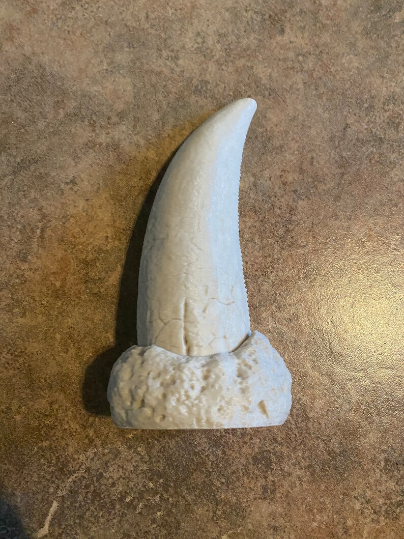 3D Printed Tyrannosaurus Rex Fossilized Tooth Replica - Etsy