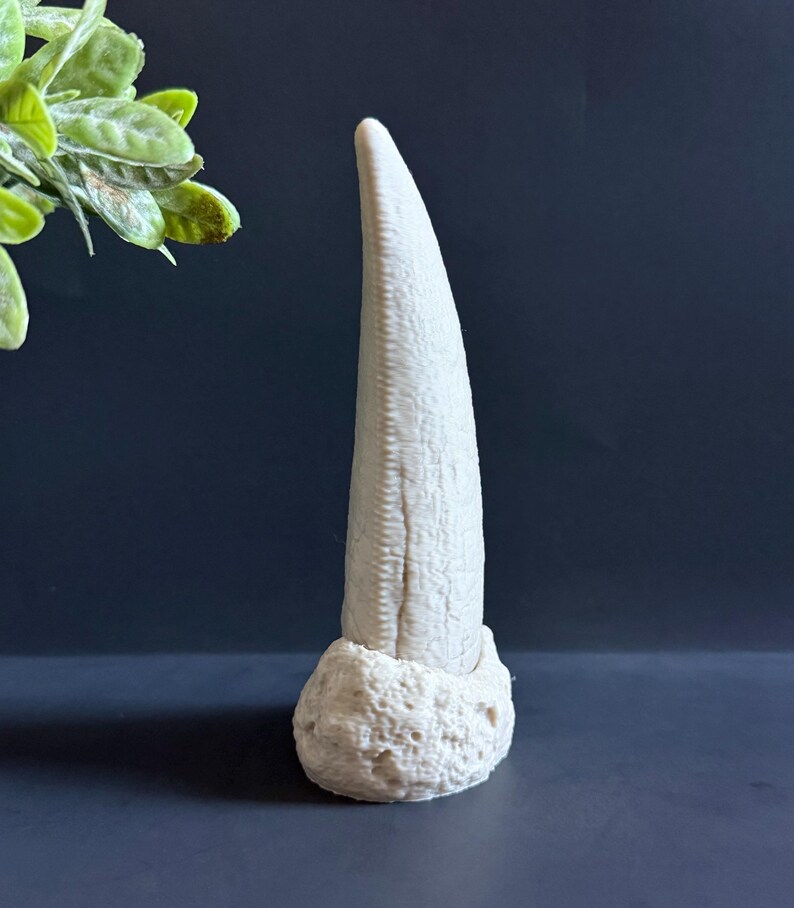 Tyrannosaurus Rex Tooth Replica – T Rex Fossil Gift – Dinosaur Lover ...