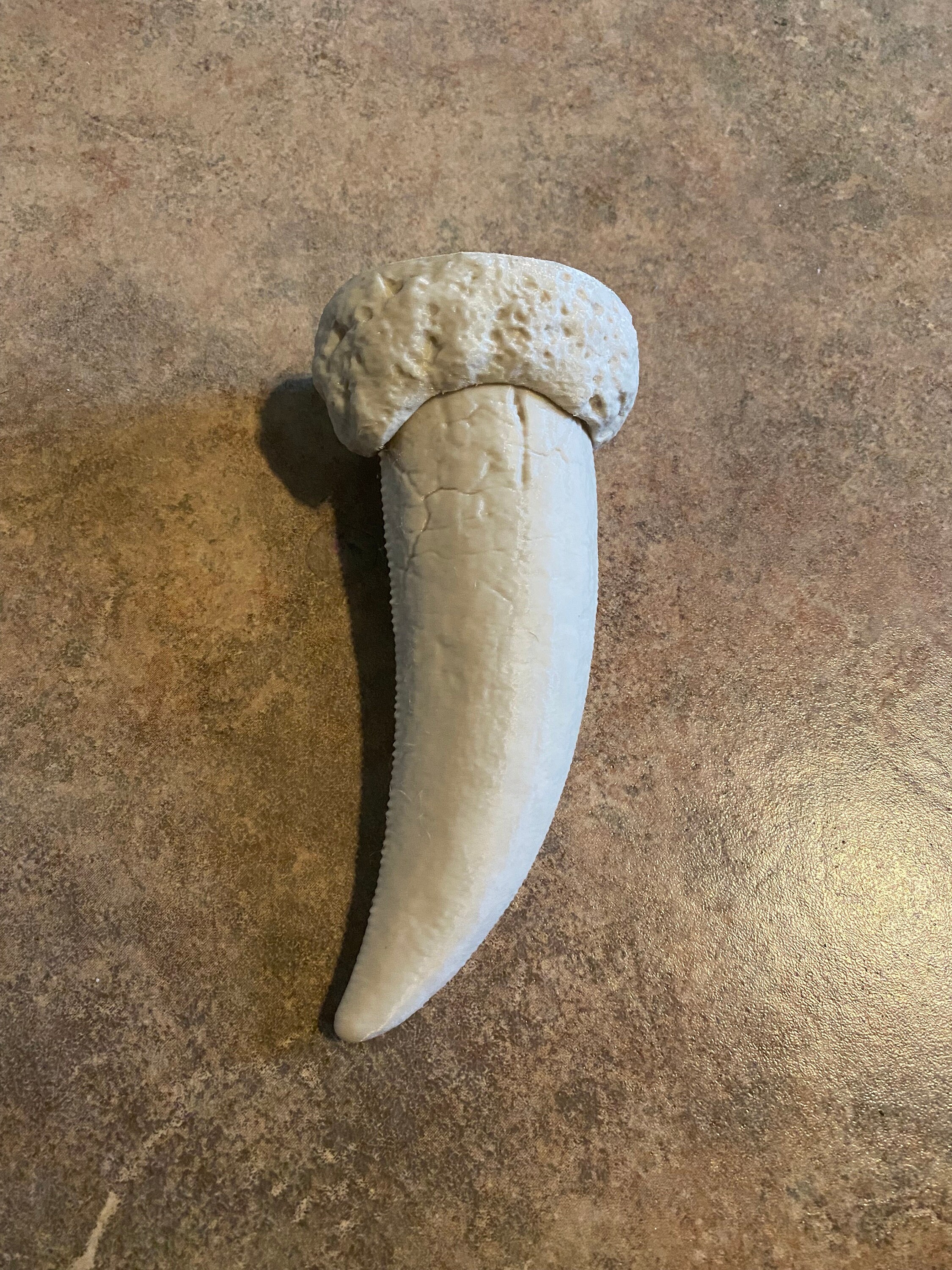 3D Printed Tyrannosaurus Rex Fossilized Tooth Replica - Etsy