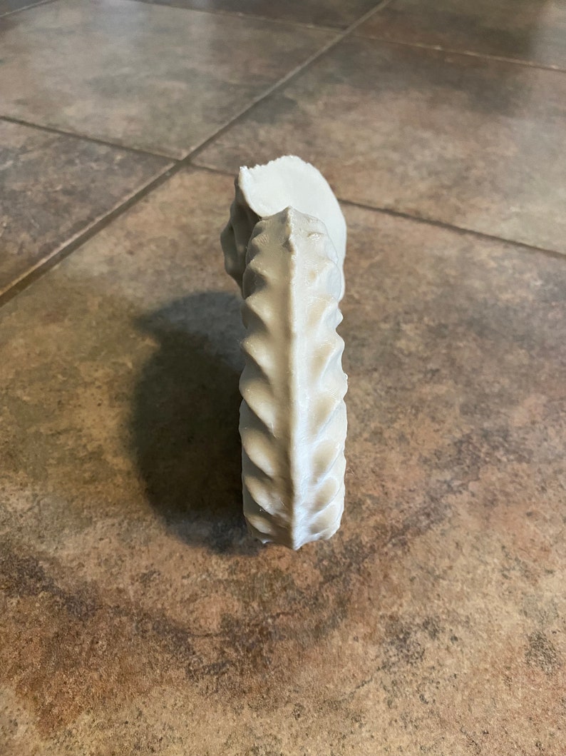3D Printed Ammonite Fossil Replica - Etsy