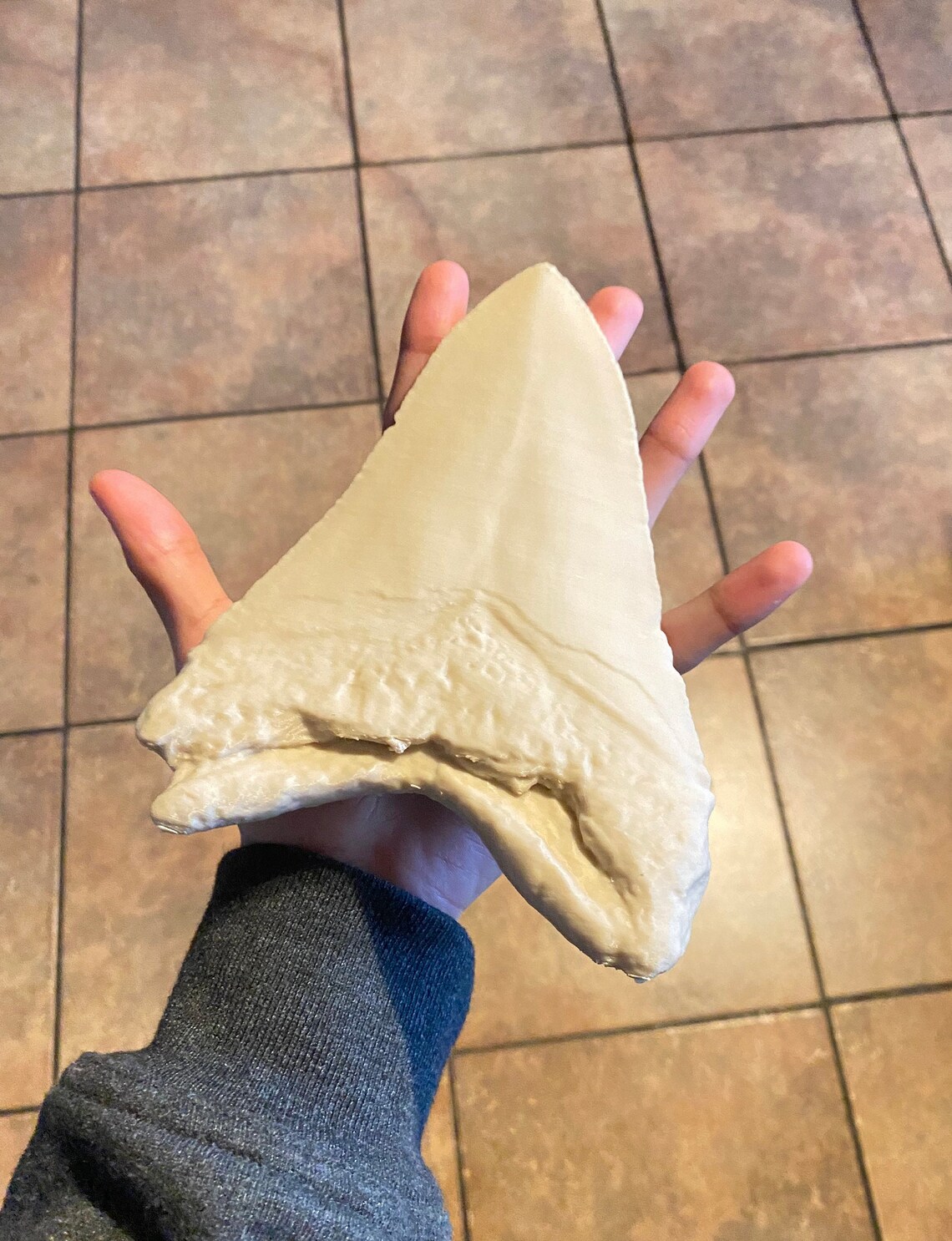 3D Printed Giant Prehistoric Megalodon Tooth Replica - Etsy