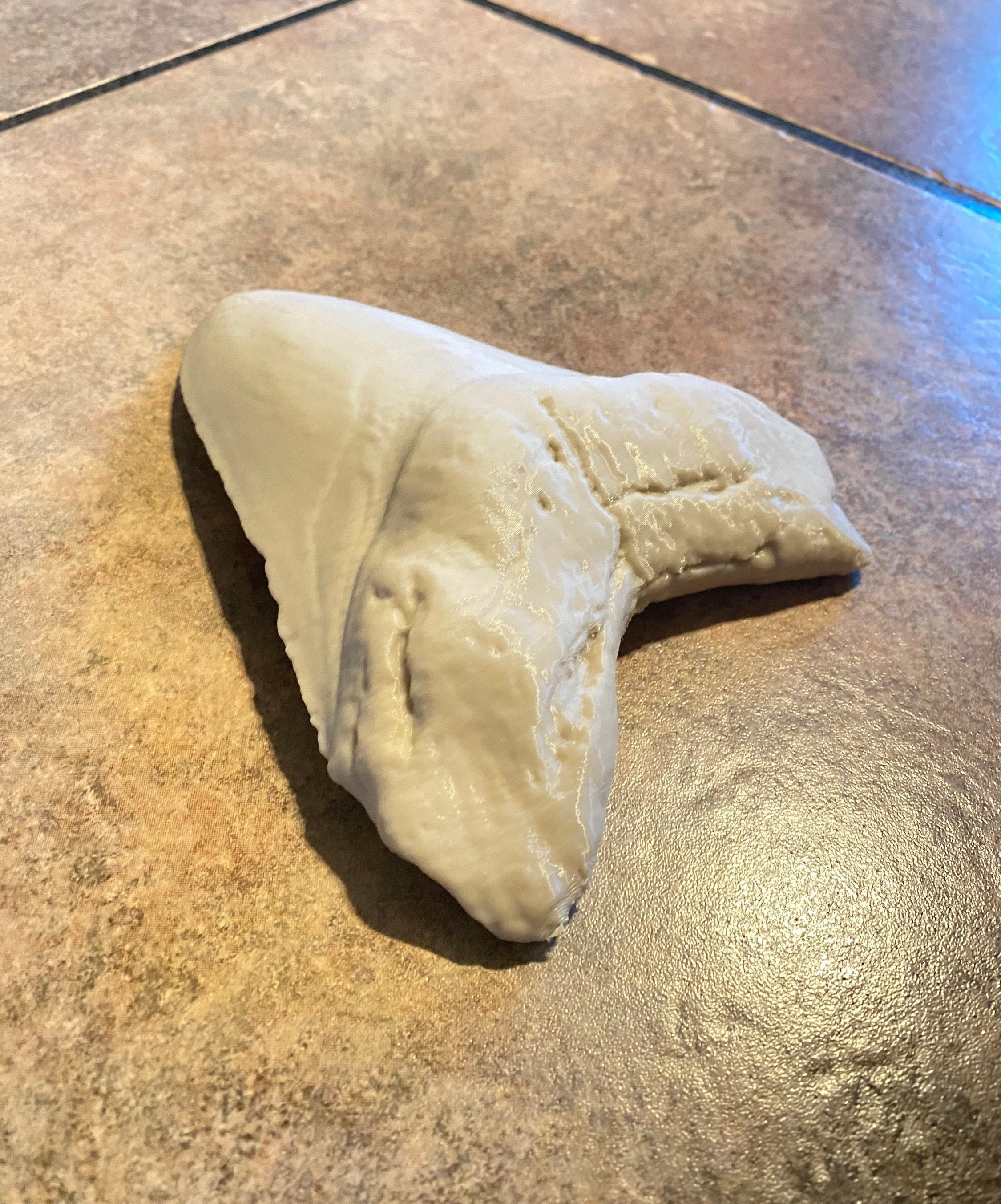 3D Printed Giant Prehistoric Megalodon Tooth Replica - Etsy