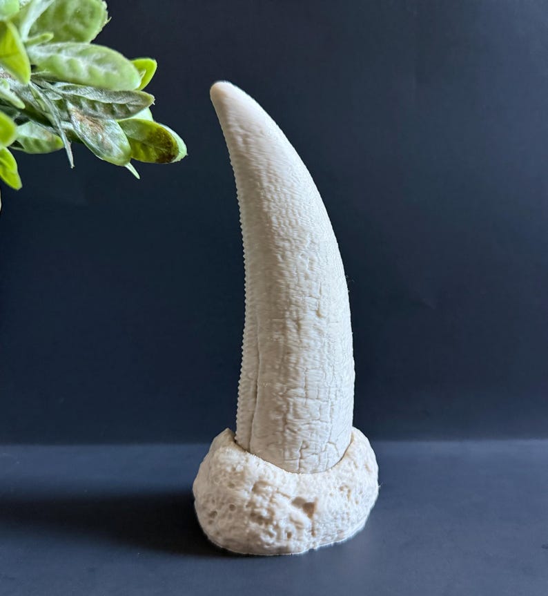 Tyrannosaurus Rex Tooth Replica – T Rex Fossil Gift – Dinosaur Lover ...
