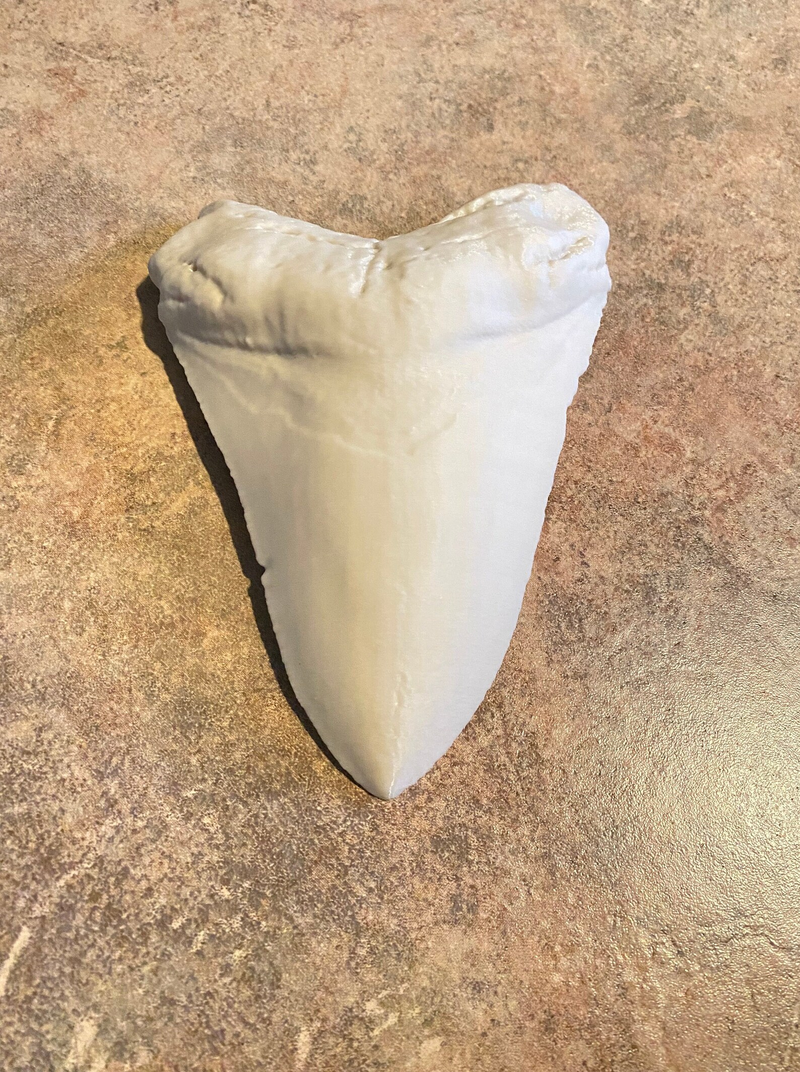 3D Printed Giant Prehistoric Megalodon Tooth Replica - Etsy
