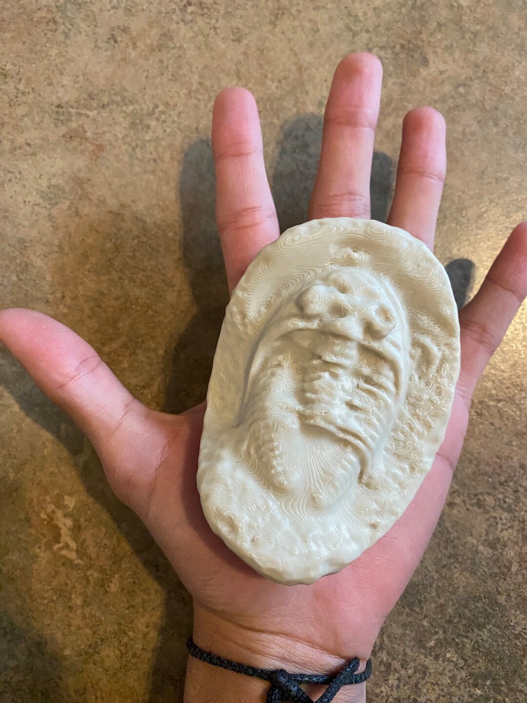3D Printed Fossilized Trilobite Replica - Etsy