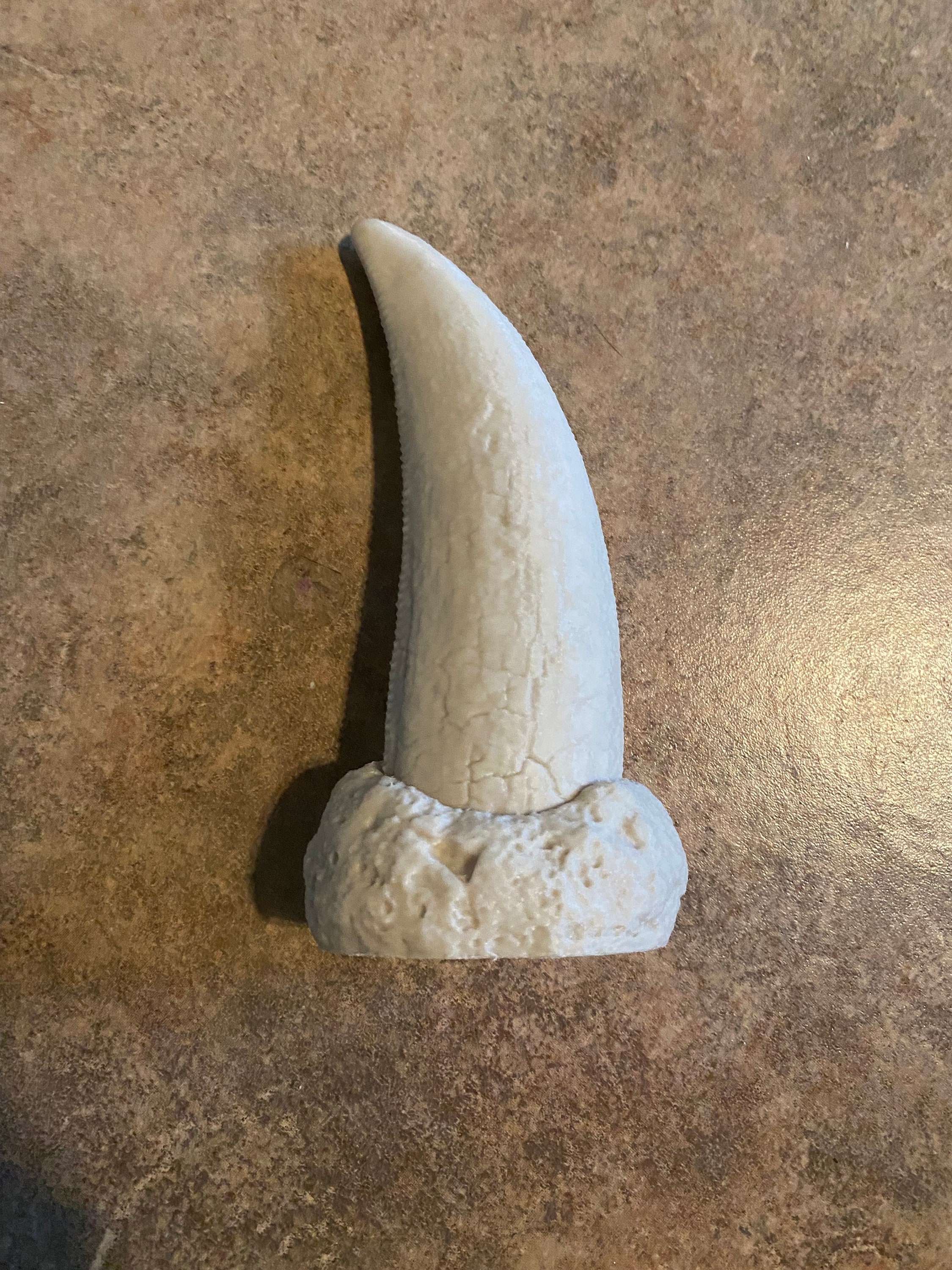 3D Printed Tyrannosaurus Rex Fossilized Tooth Replica - Etsy
