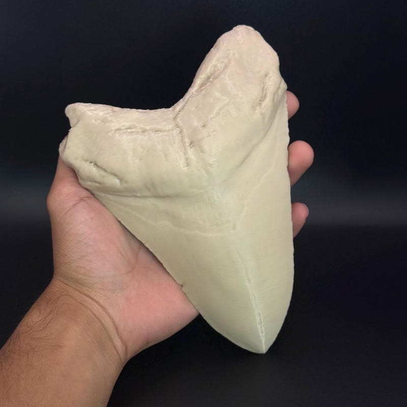 Resin Shark Tooth Art - Etsy