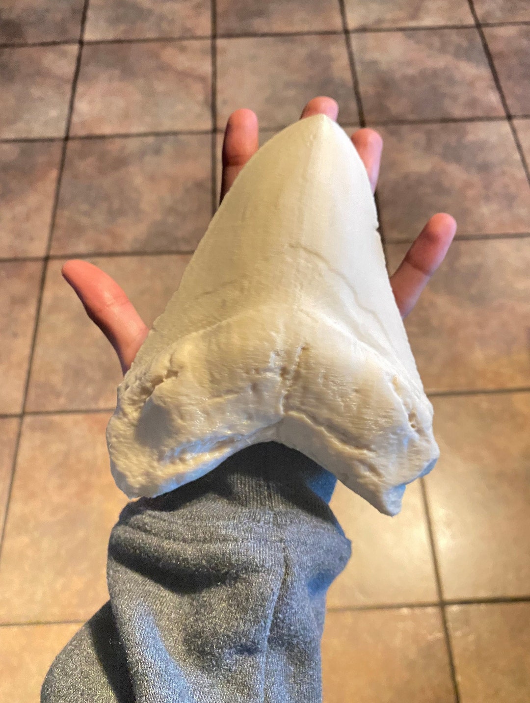 3D Printed Giant Prehistoric Megalodon Tooth Replica - Etsy