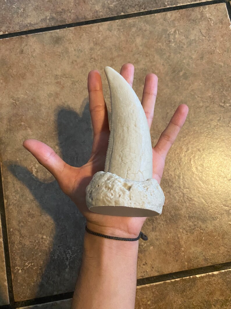 3D Printed Tyrannosaurus Rex Fossilized Tooth Replica - Etsy