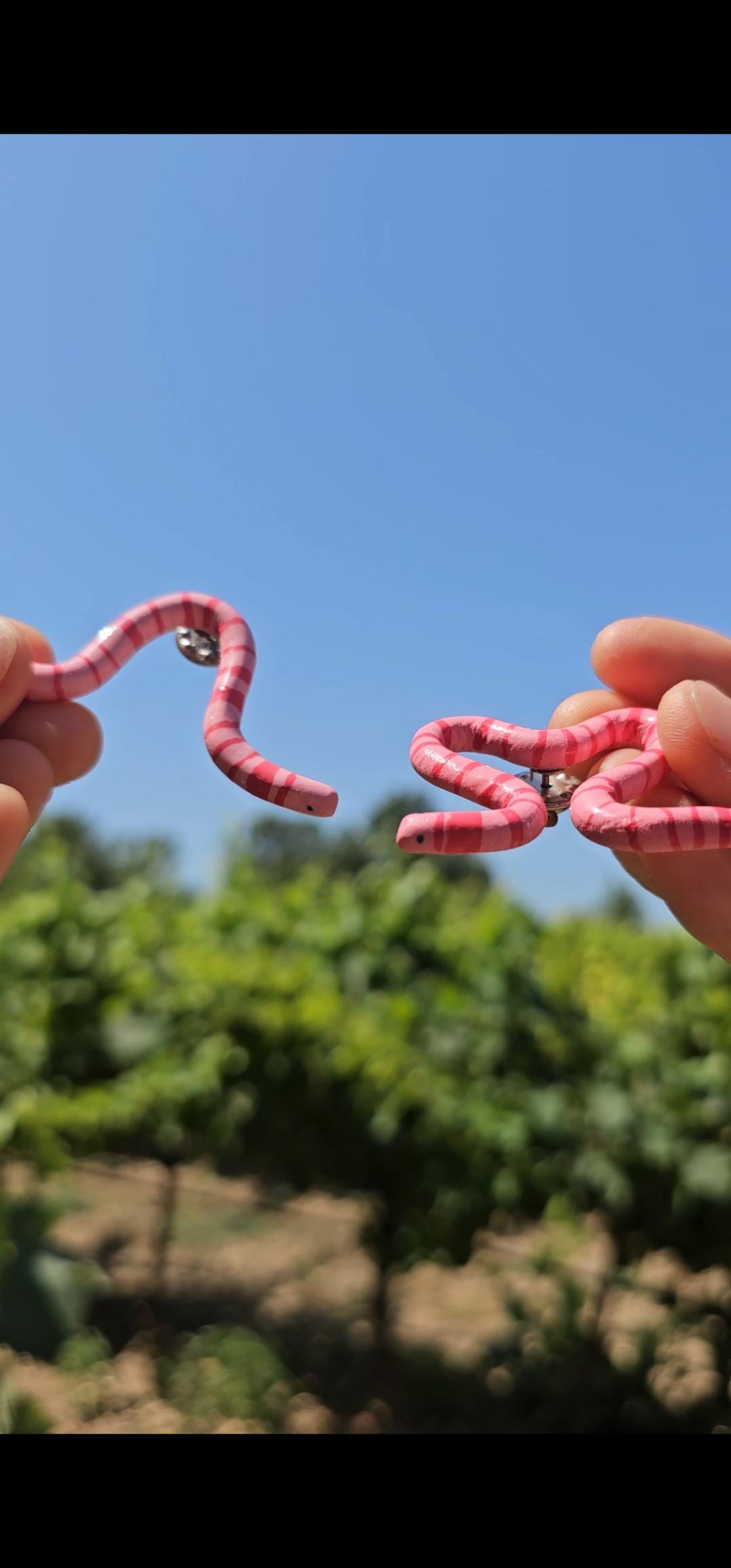 Cute Little Magnet and Pin Worm Collection Love Fridge Clay Handmade ...