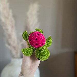 Watermelon Turtle Crochet Pattern Amigurumi Plushie Easy Quick Beginner ...