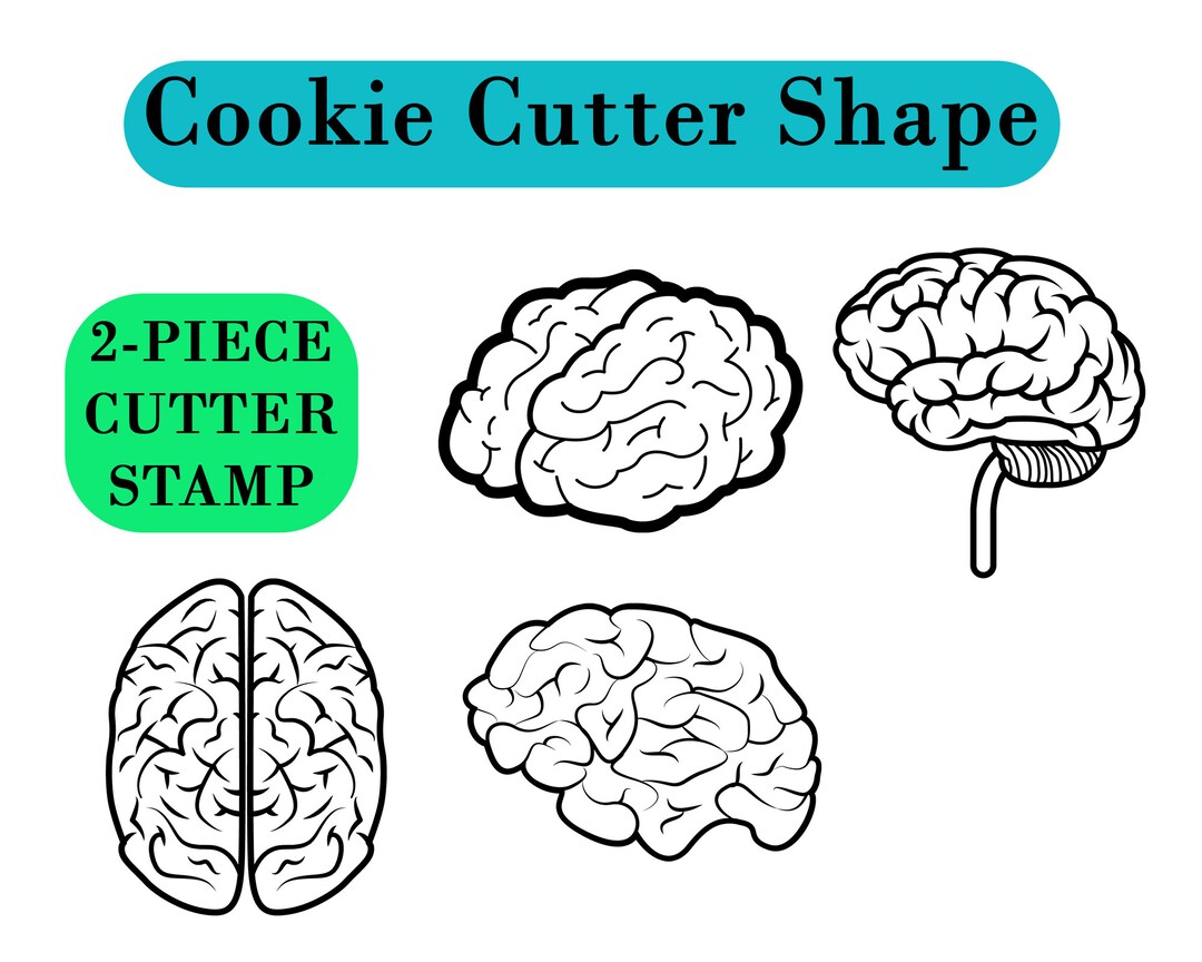 Cookie Cutter Set: Brain Anatomy Shapes for Sugar Cookies, Fondant, and ...