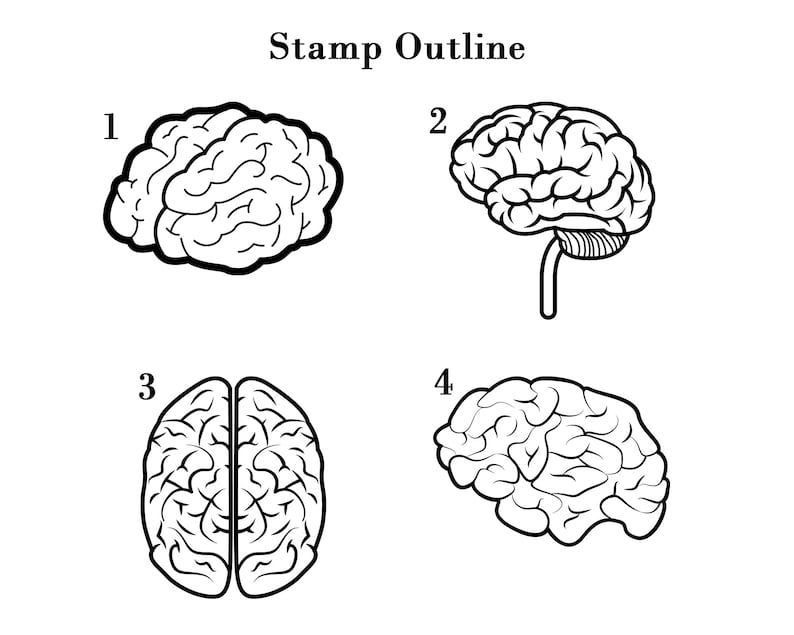 Cookie Cutter Set: Brain Anatomy Shapes for Sugar Cookies, Fondant, and ...
