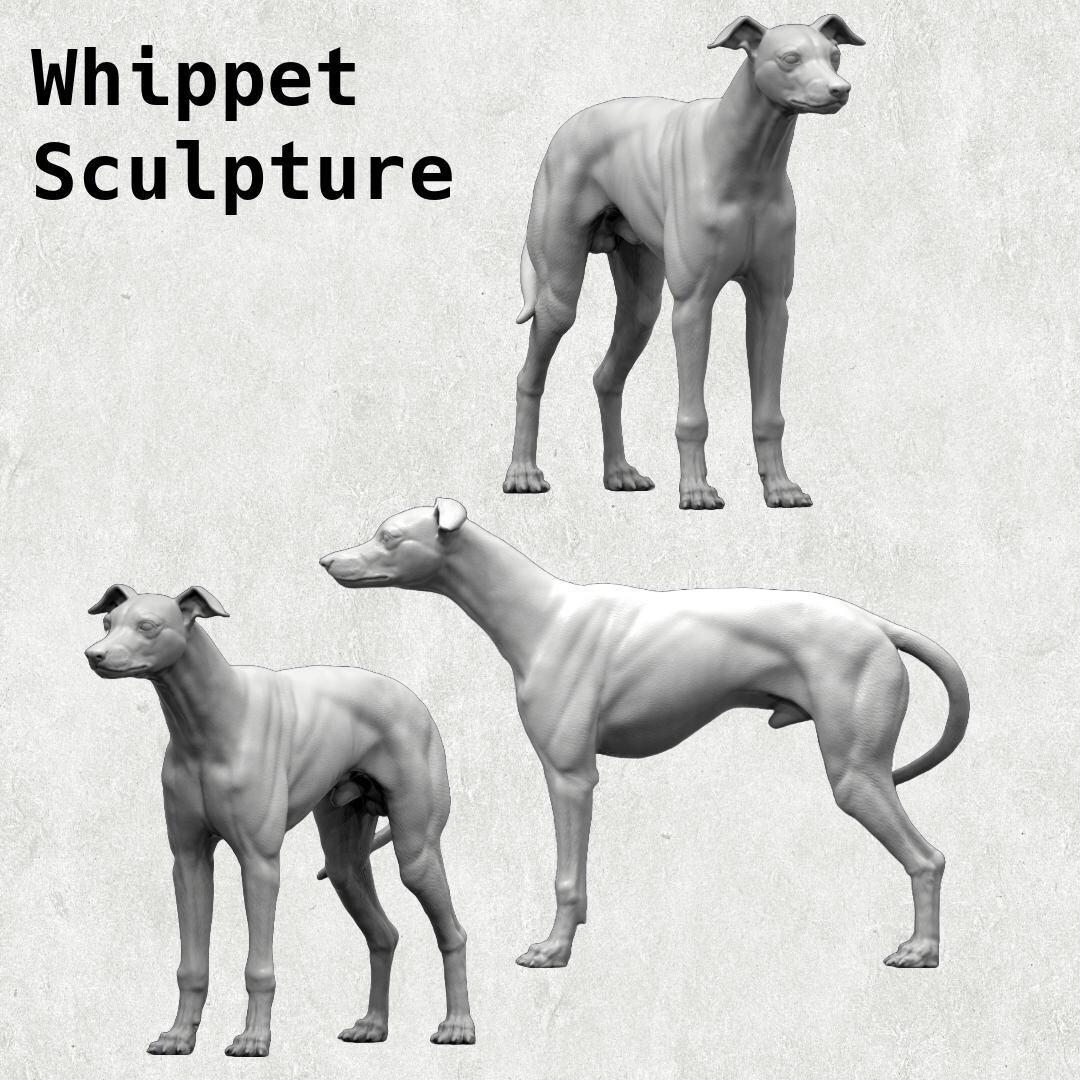 Elegant Whippet Sculpture - 3D Printed Dog Figurine for Home Decor, Pet ...