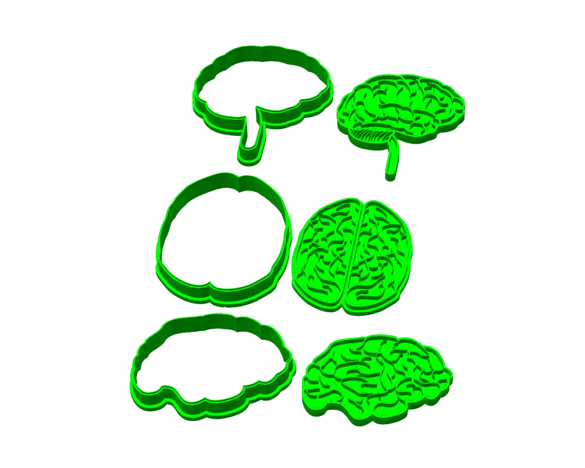 Cookie Cutter Set: Brain Anatomy Shapes for Sugar Cookies, Fondant, and ...