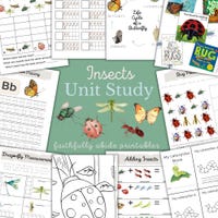 Minibeasts Coloring Pages - Etsy