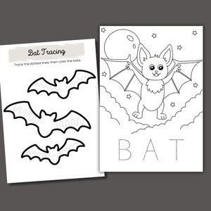 BATS Mini Unit Study, Life Cycle, Anatomy, Nature Study, Bat Study ...