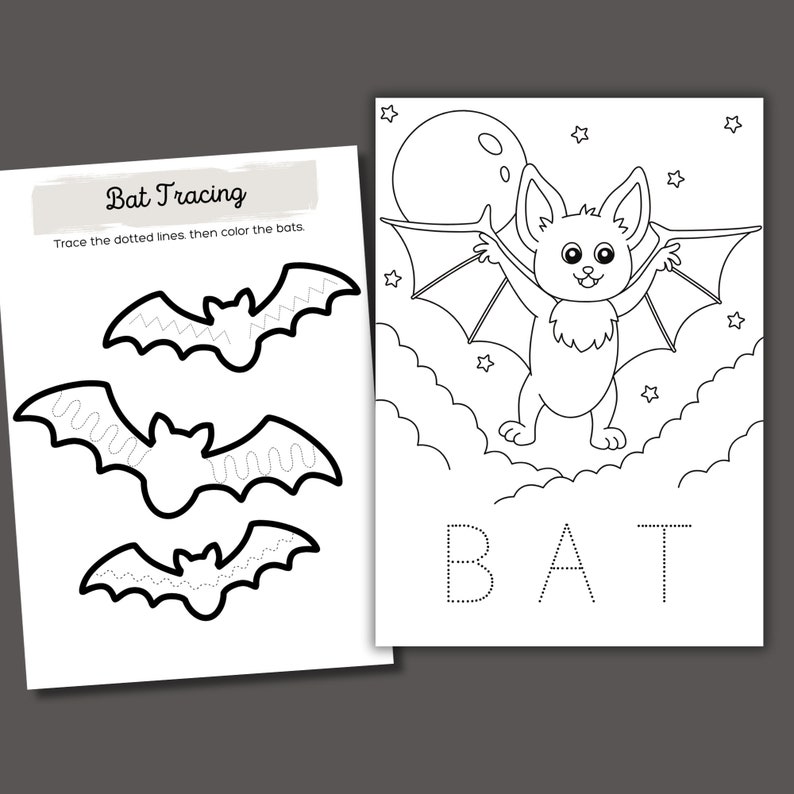 BATS Mini Unit Study, Life Cycle, Anatomy, Nature Study, Bat Study ...