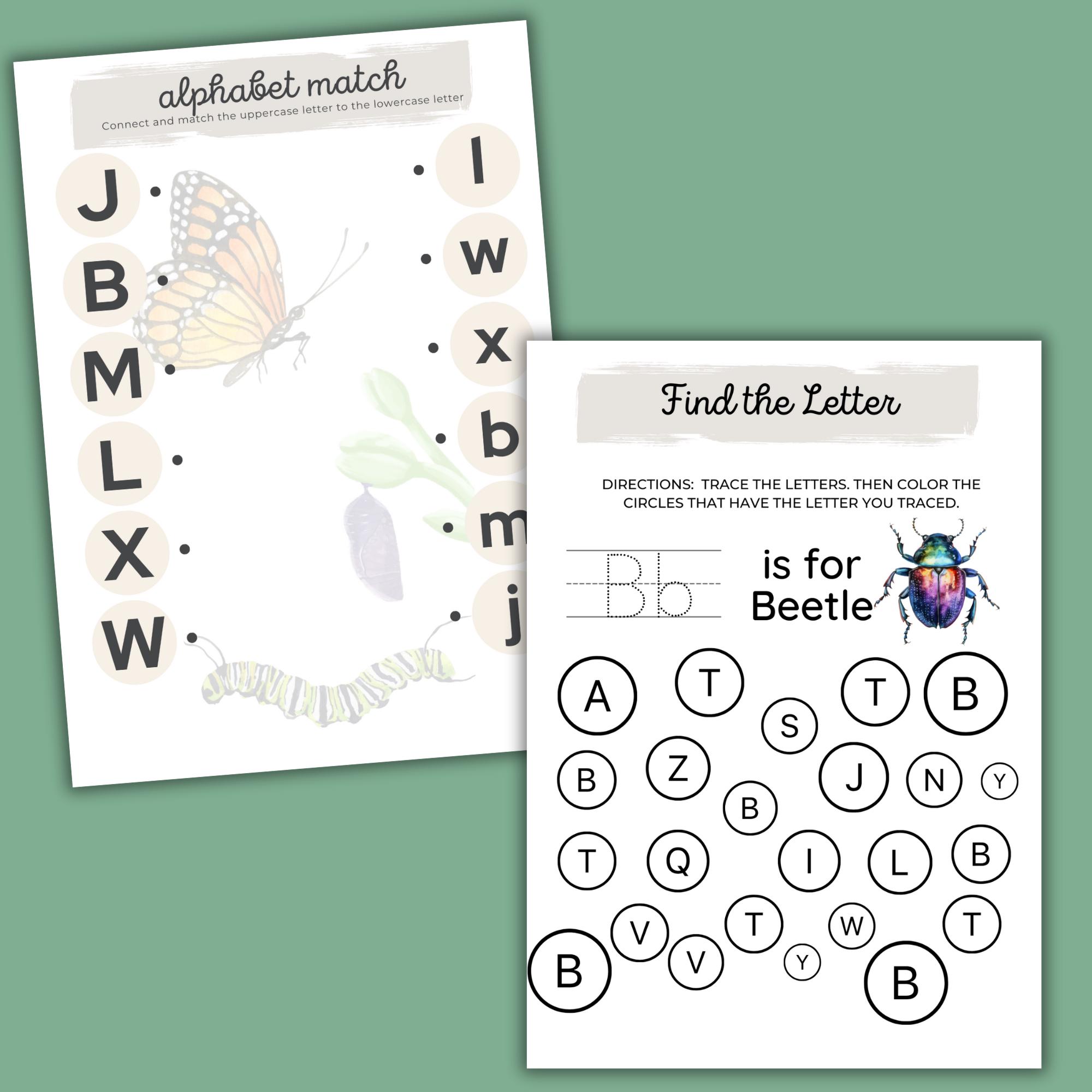 INSECTS Mini Unit Study, Insect Anatomy , Handwriting, Printable ...