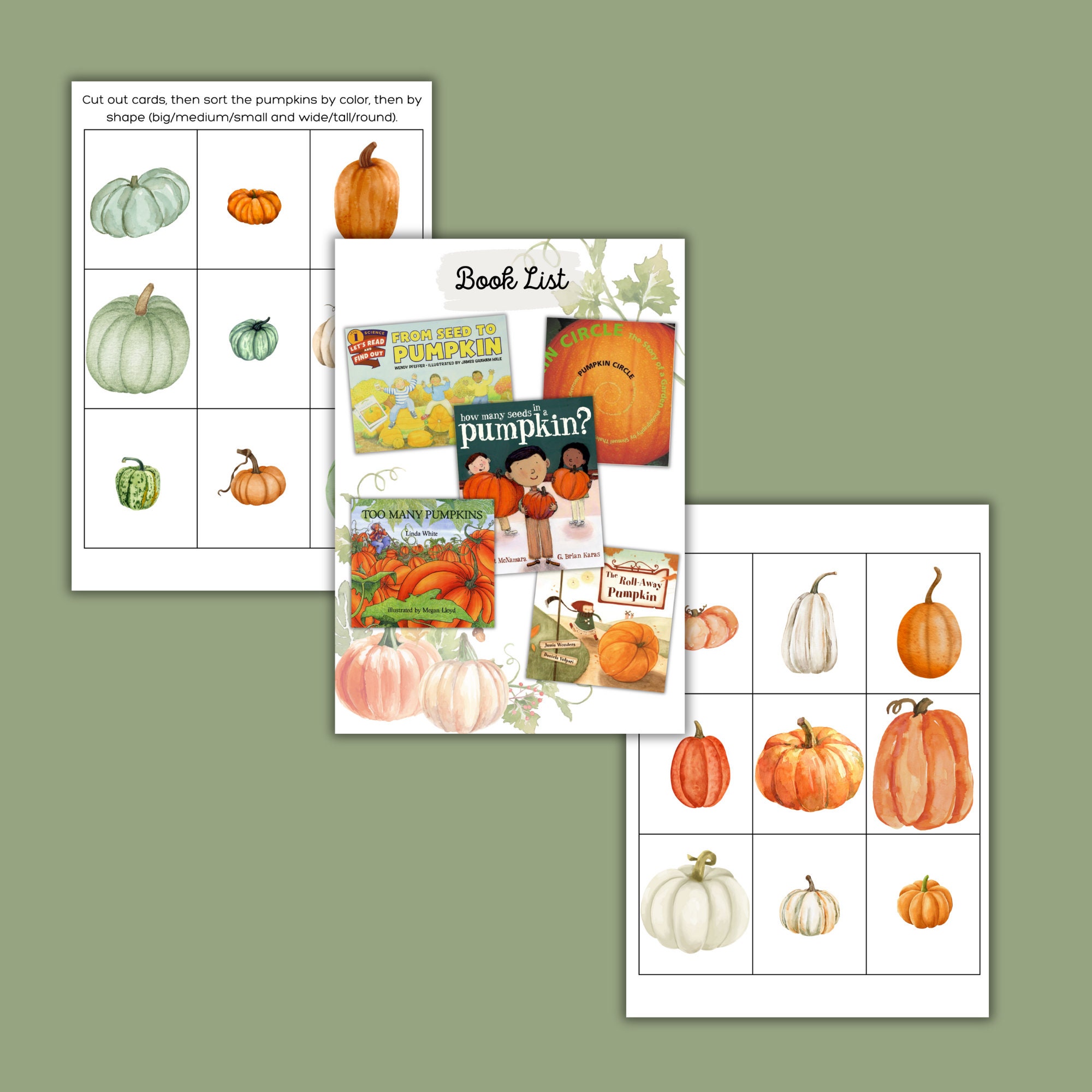 PUMPKIN Unit Study, Life Cycle, Anatomy, Nature Study, Science ...