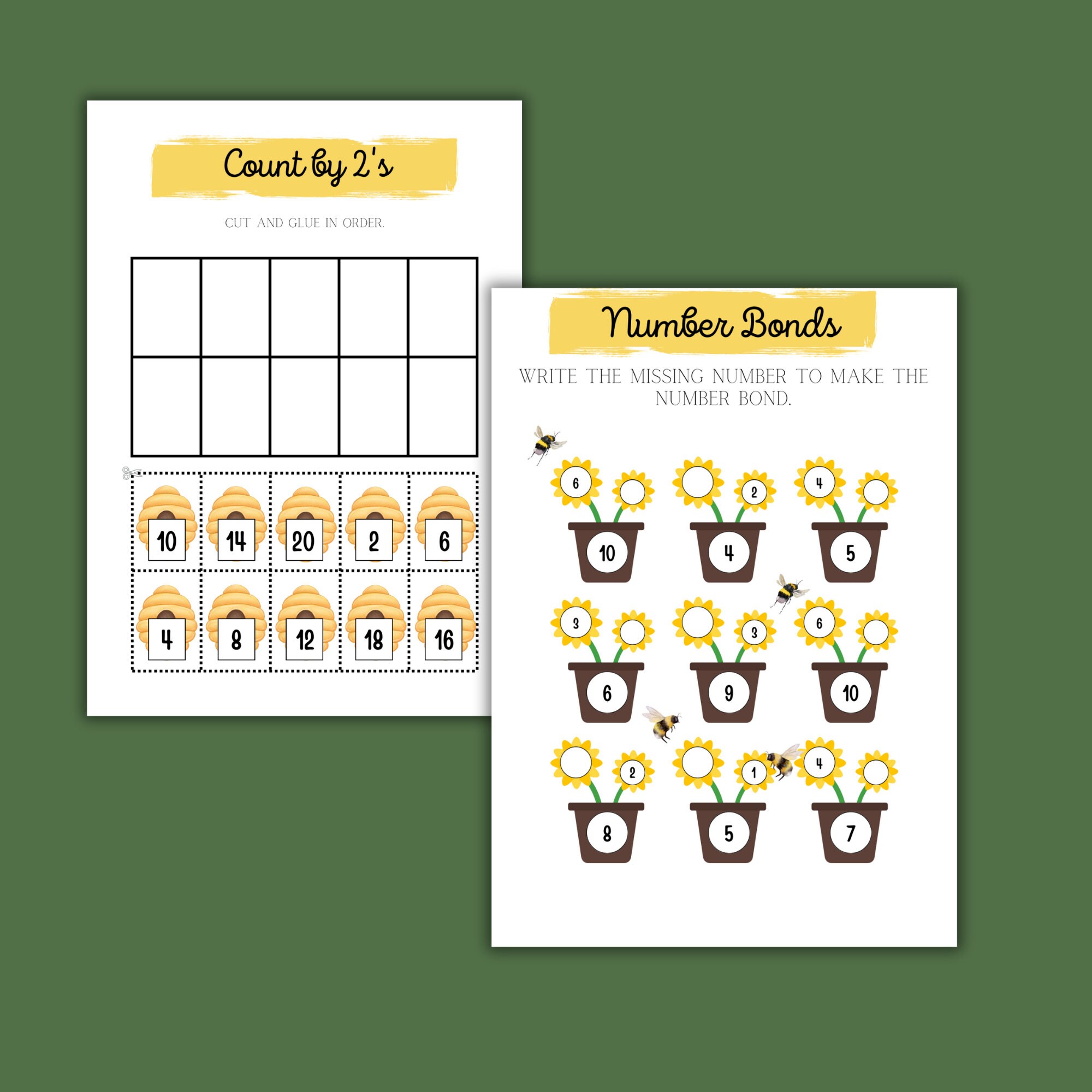 HONEY BEE Unit Study, 2nd to 5th Grade, Life Cycle, Anatomy, Nature ...