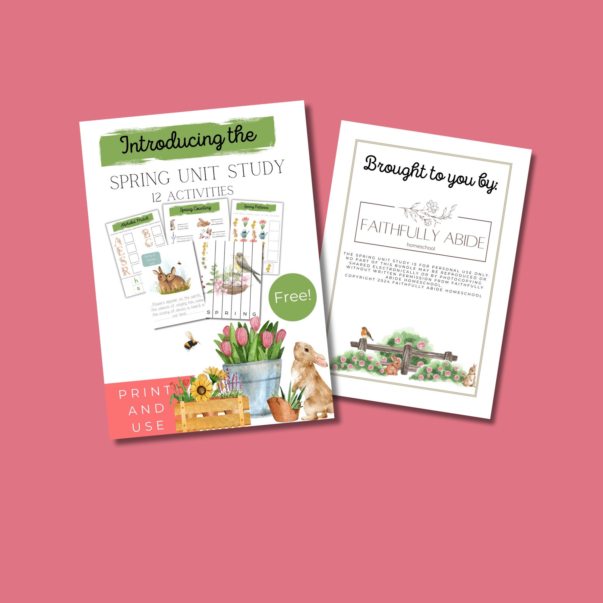 SPRING Mini Unit Study, Spring Activities, Science, 4 Seasons ...