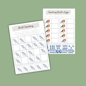 BIRD Mini Unit Study, Bird Activities, Numbers, Nature Study ...