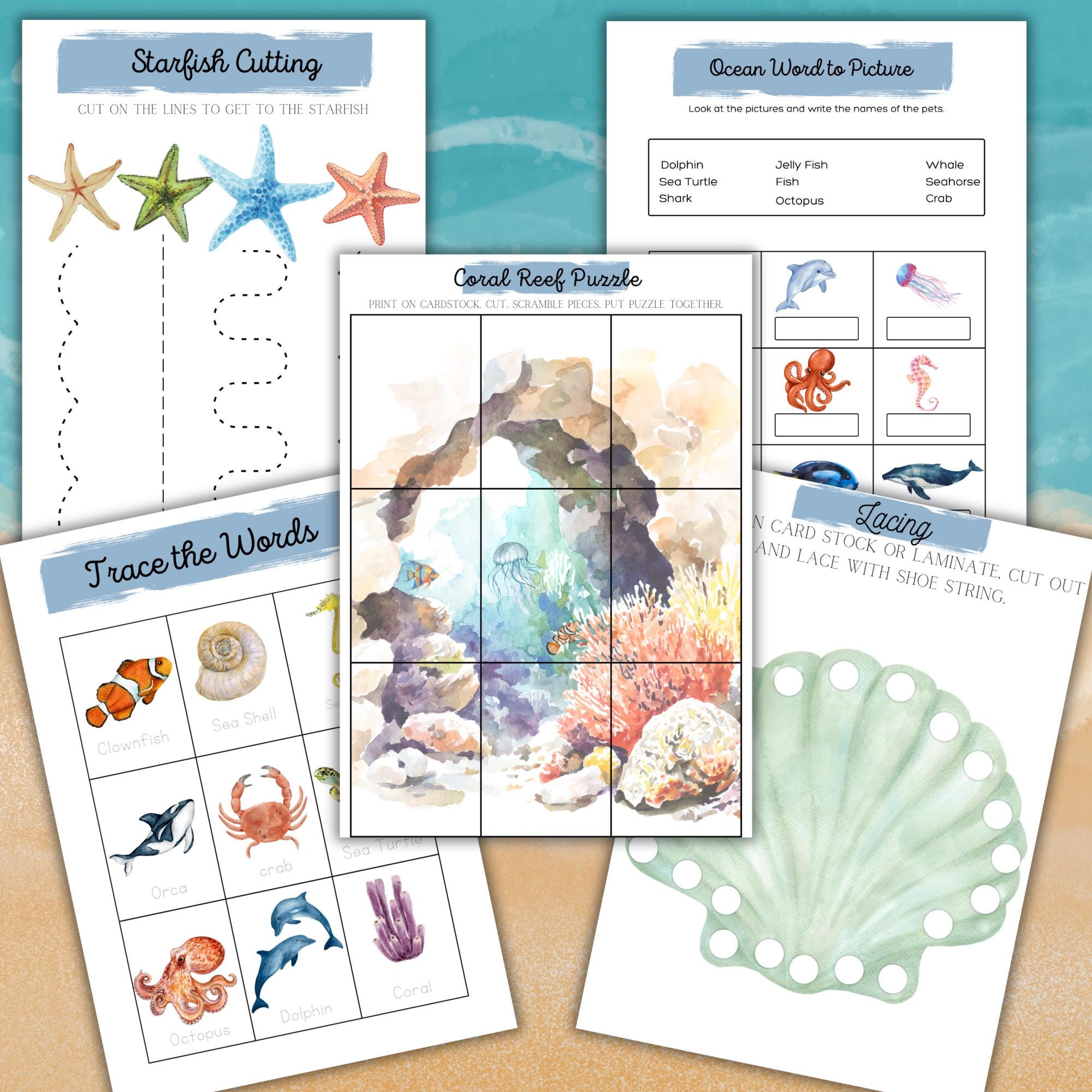 OCEAN Unit Study, Vocabulary, Anatomy, Montessori, Homeschool Printable ...