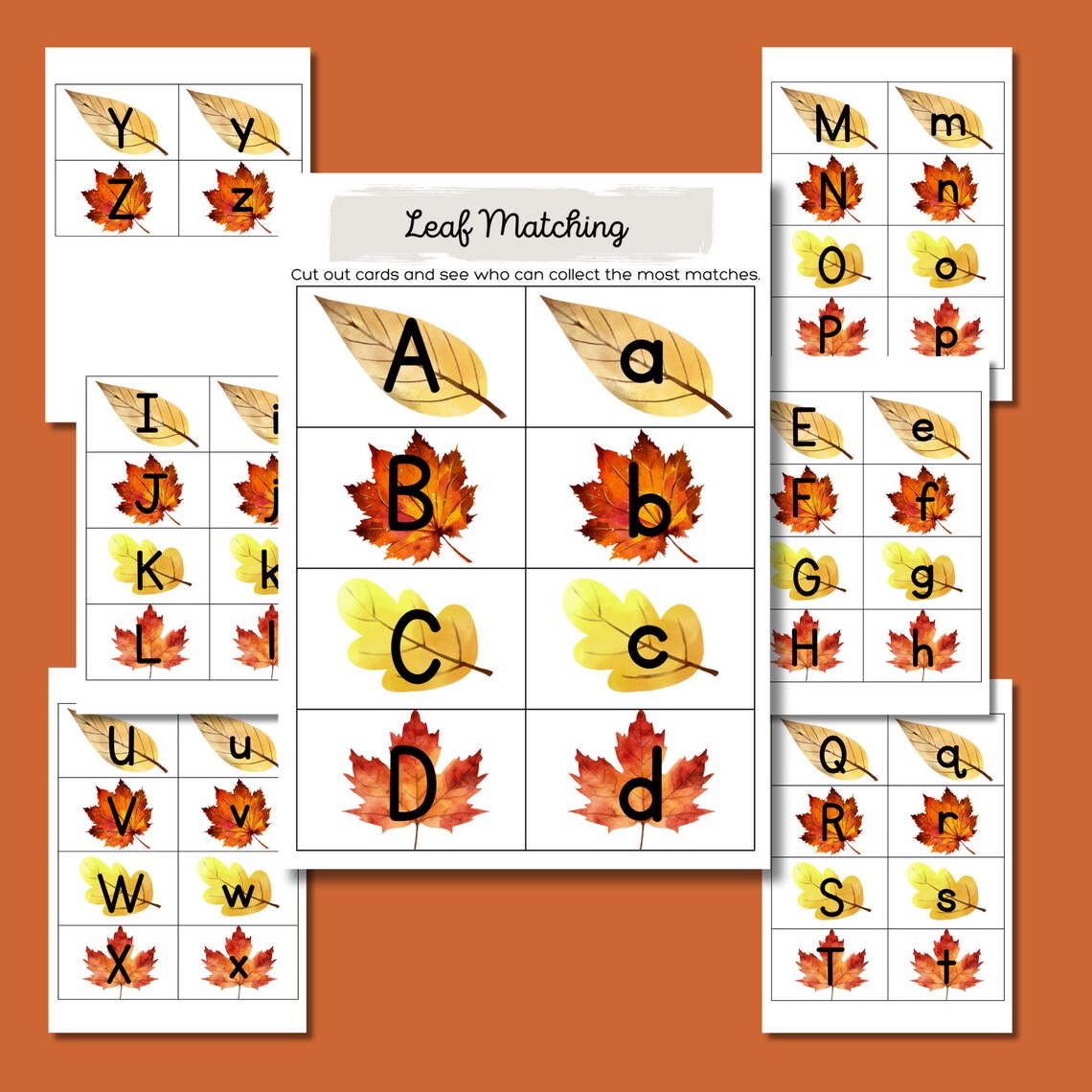 AUTUMN LEAVES Mini Unit Study, Anatomy, Nature Study, Science ...