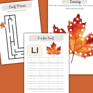 AUTUMN LEAVES Mini Unit Study, Anatomy, Nature Study, Science ...