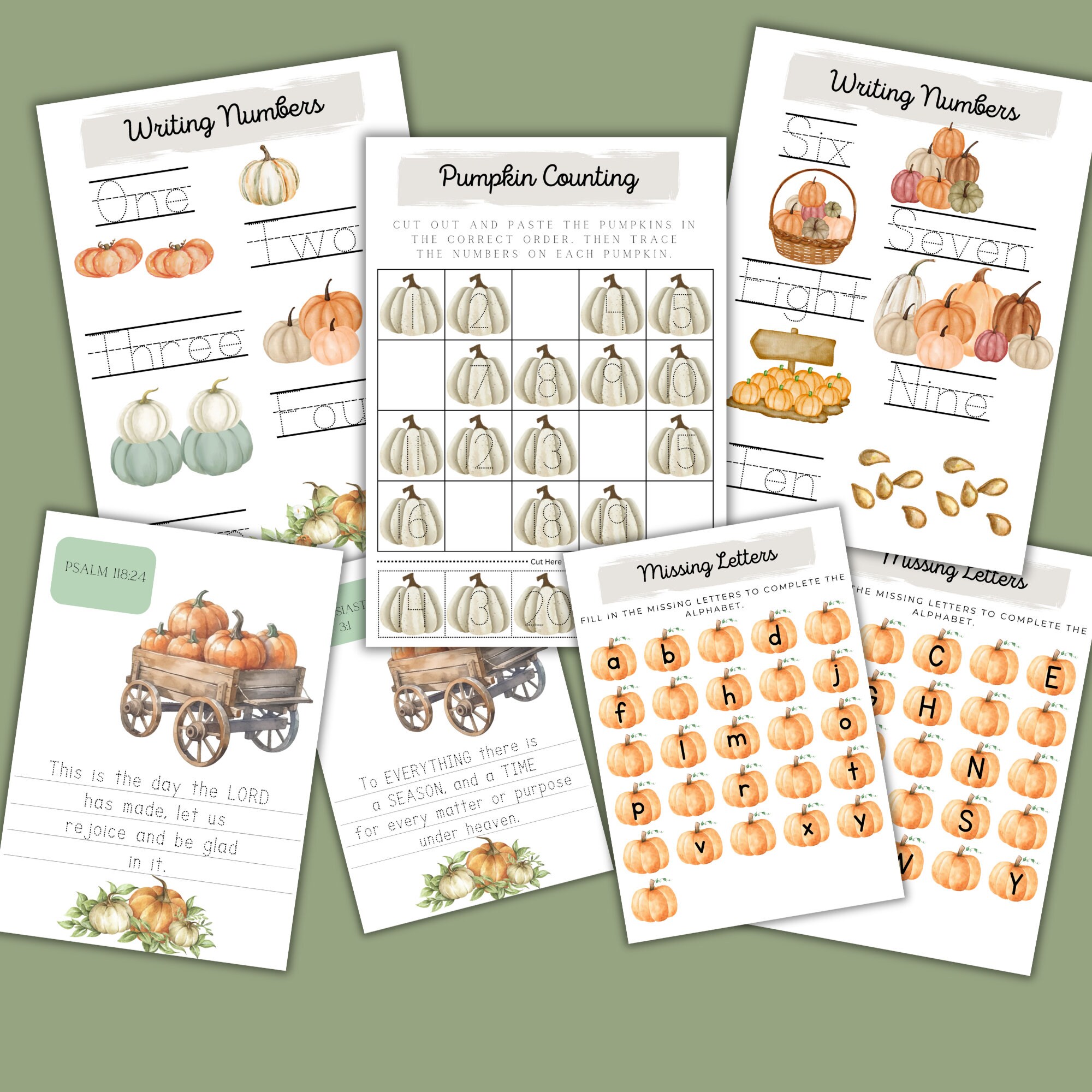 PUMPKIN Unit Study, Life Cycle, Anatomy, Nature Study, Science ...