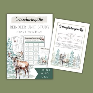 REINDEER Mini Unit Study, Life Cycle, Anatomy, Nature Study, Homeschool ...