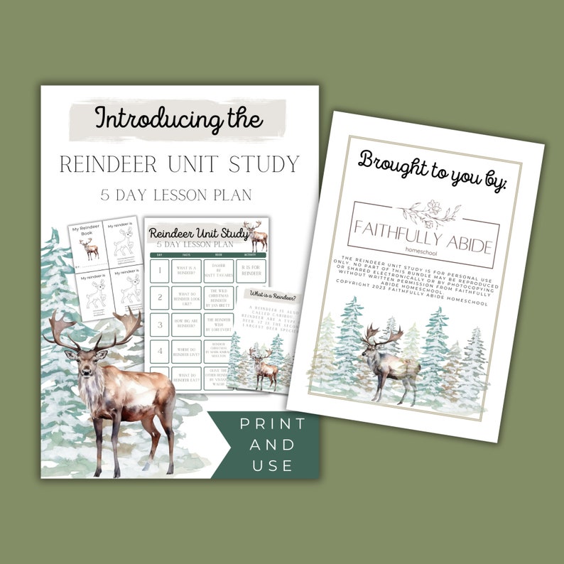 REINDEER Mini Unit Study, Life Cycle, Anatomy, Nature Study, Homeschool ...