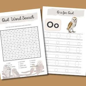 OWL Mini Unit Study, Life Cycle, Anatomy, Nature Study, Science ...