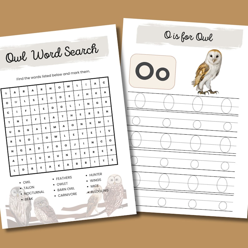 OWL Mini Unit Study, Life Cycle, Anatomy, Nature Study, Science ...