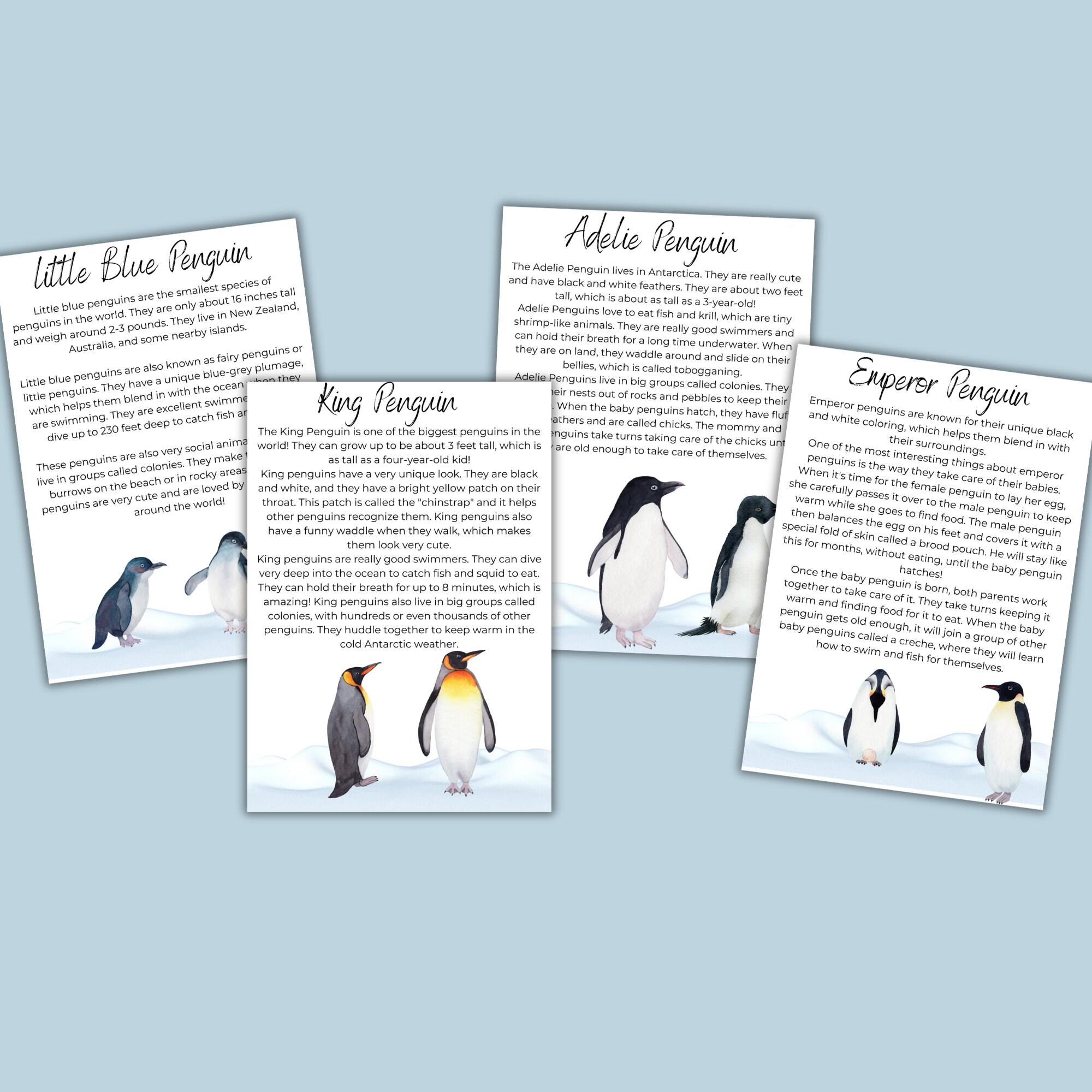 POLAR BEARS and PENGUINS Unit Study, Life Cycle, Montessori, Homeschool ...