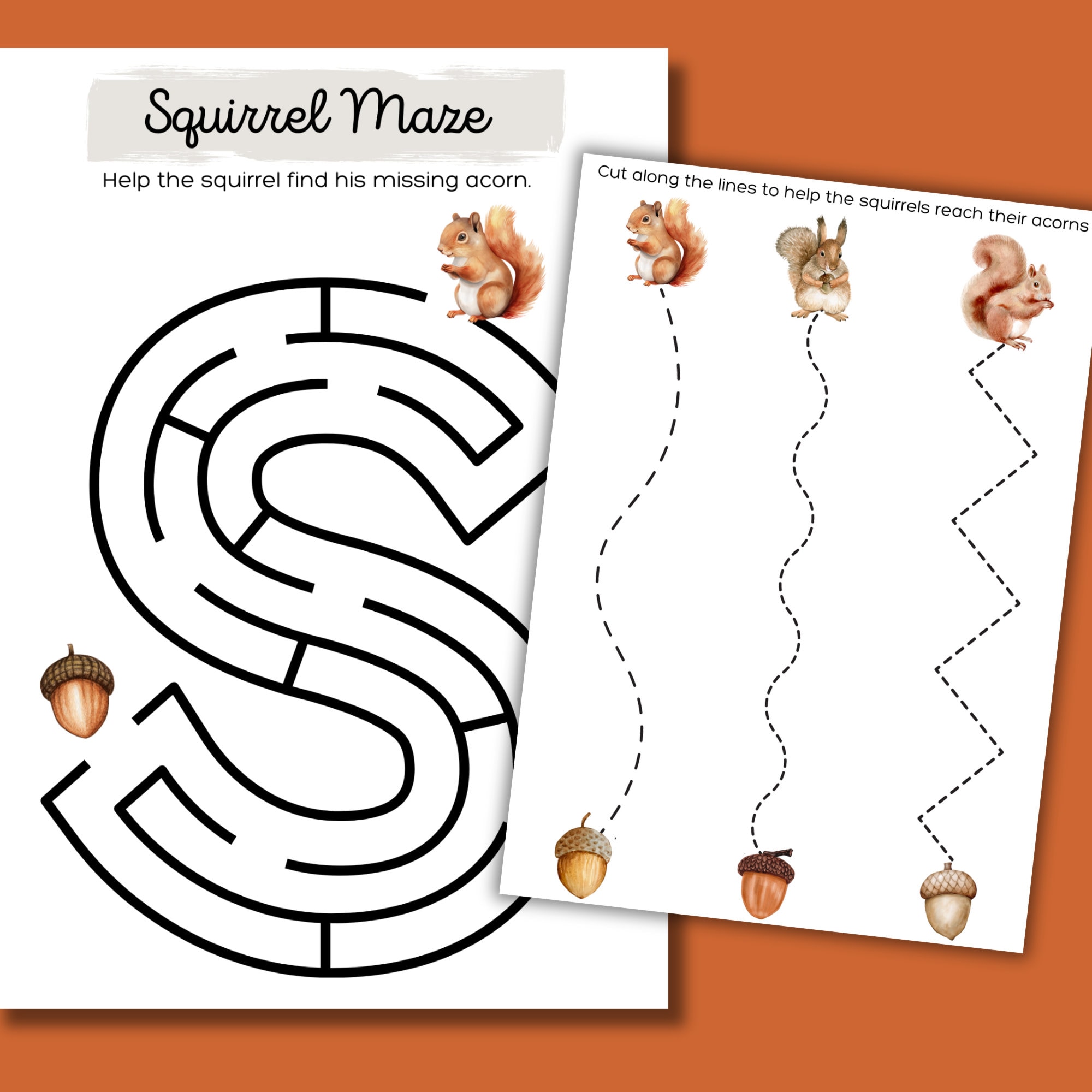 SQUIRREL Mini Unit Study, Life Cycle, Anatomy, Nature Study, Science ...