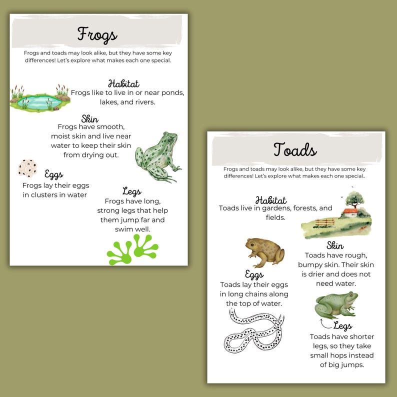 FROGS and TOADS Mini Unit Study, Frog Anatomy , Handwriting, Printable ...