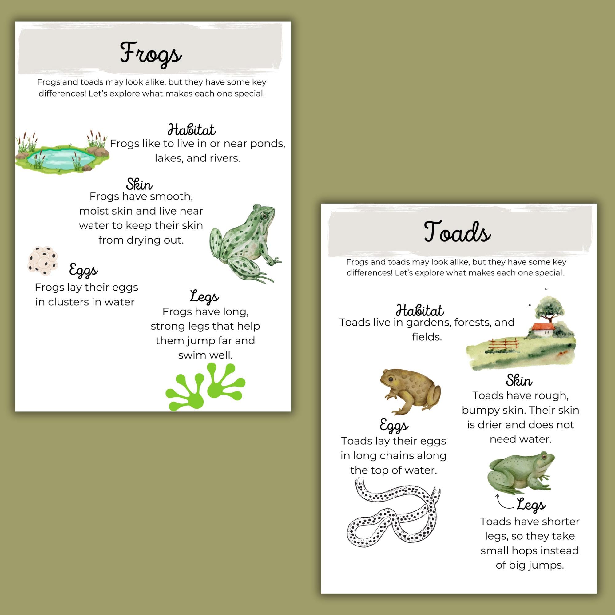 FROGS and TOADS Mini Unit Study, Frog Anatomy , Handwriting, Printable ...