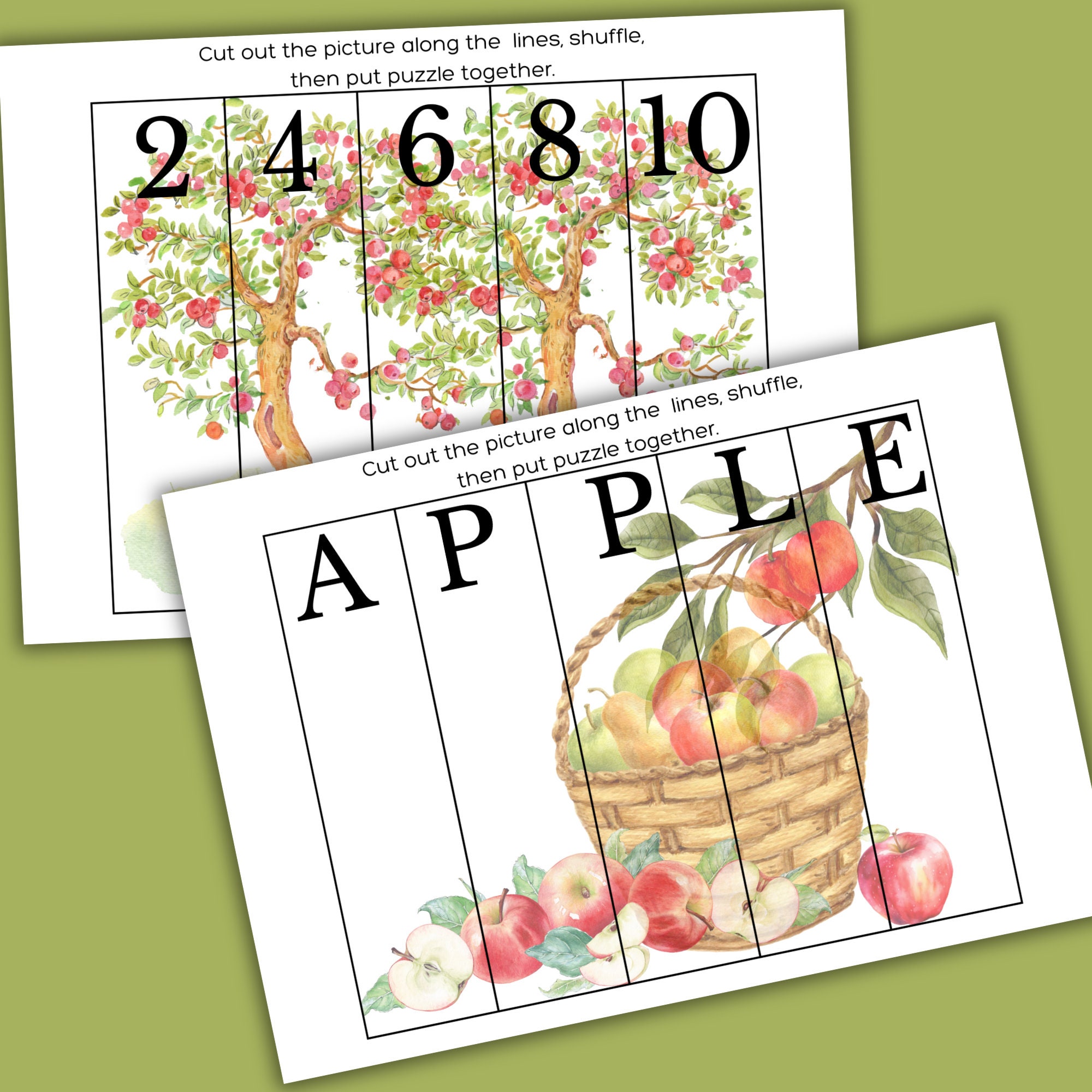 APPLE Mini Unit Study, Life Cycle, Anatomy, Nature Study, Science ...